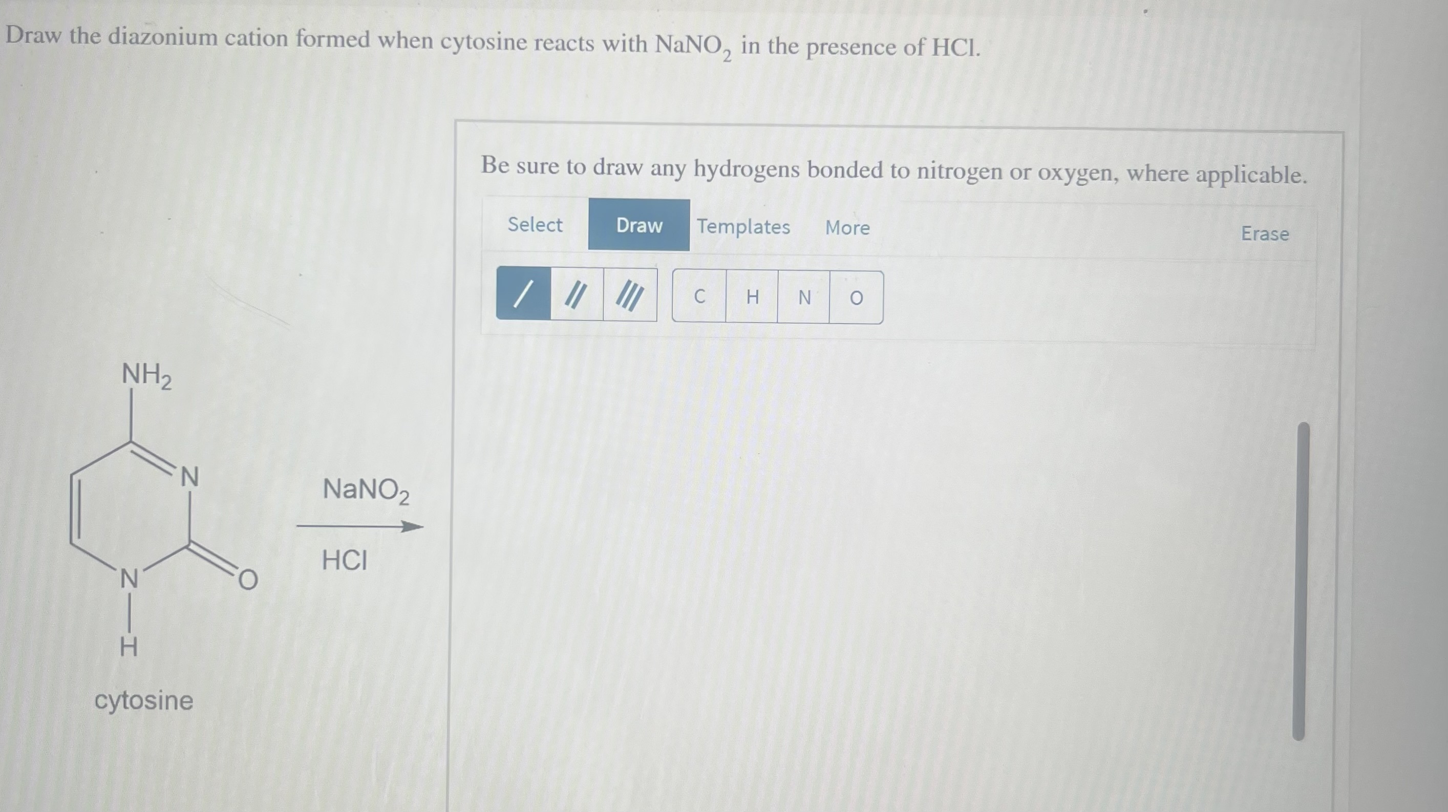 SOLVED: Draw the diazonium cation formed when cytosine reacts with ...
