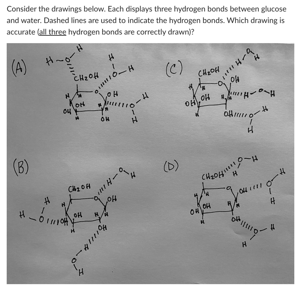SOLVED: Consider the drawings below. Each displays three hydrogen bonds between glucose and ...