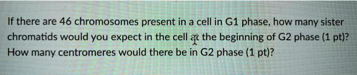 SOLVED: If there are 46 chromosomes present in a cell in G1 phase; how ...