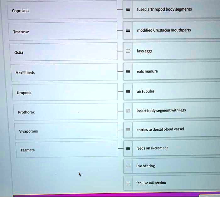 Coprozoic fused arthropod body segments Tracheae modified Crustacea ...