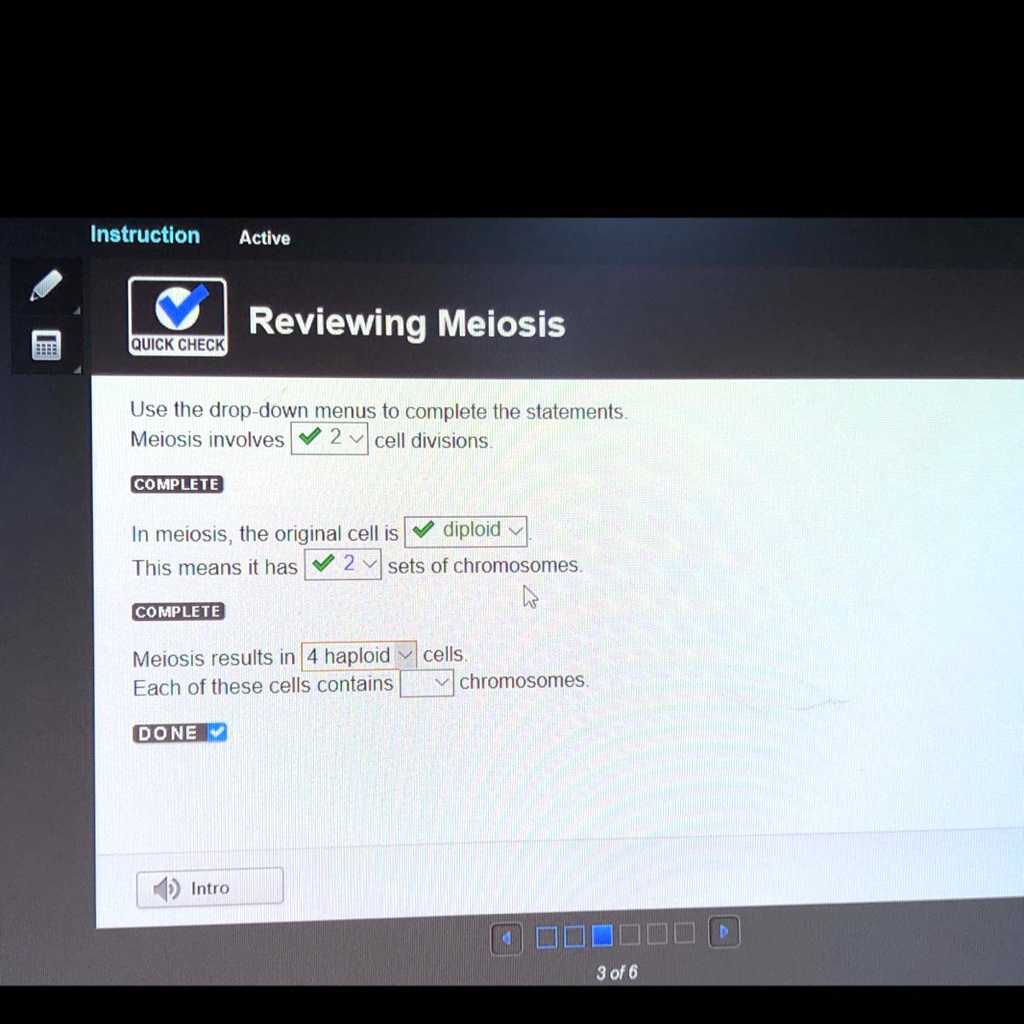 meiosis results in cells instructlon active reviewing meiosis quick ...