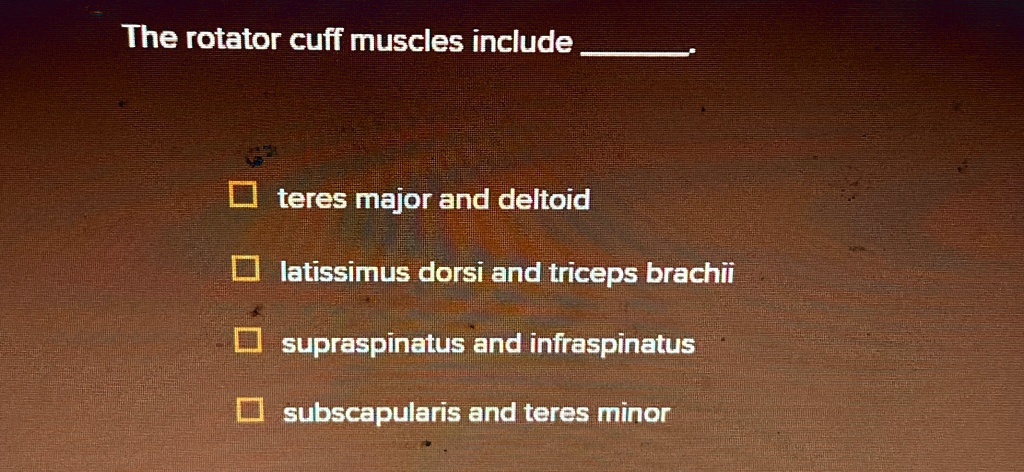 The rotator cuff muscles include teres major and deltoid latissimus ...