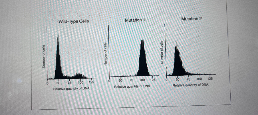 SOLVED: Wild-Type Cells Mutation 1 Mutation 2