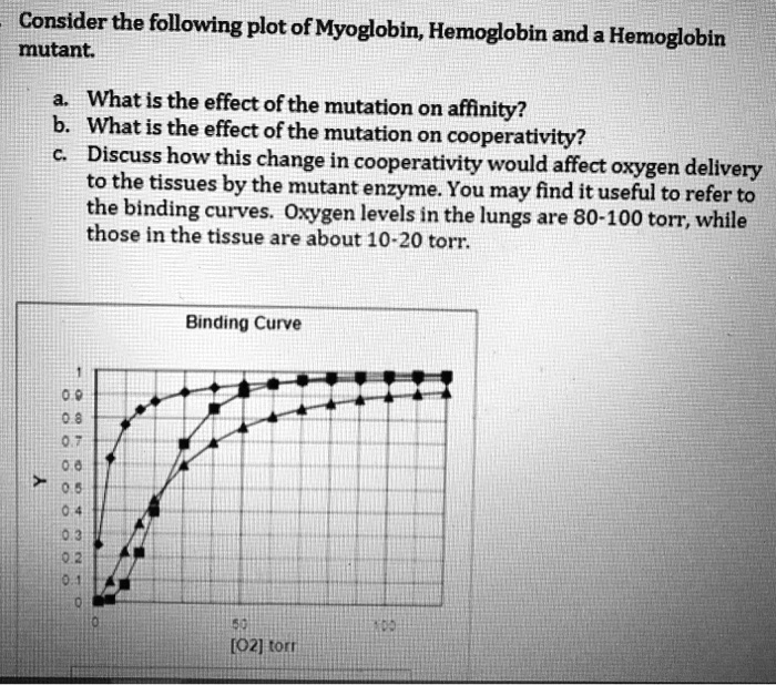 SOLVED: Consider the following plot of Myoglobin; Hemoglobin and a ... SOLVED: Consider the following plot of Myoglobin; Hemoglobin and a ...