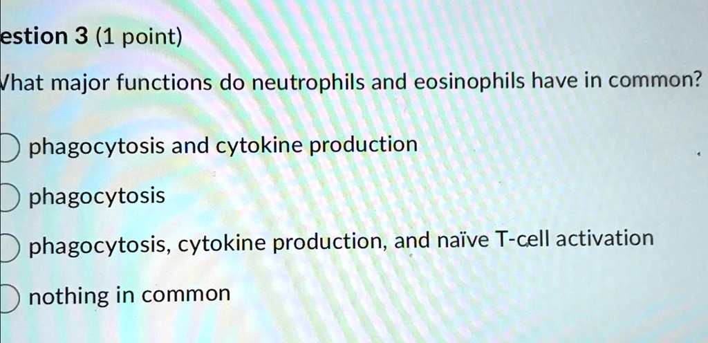 estion 3 1 point what major functions do neutrophils and eosinophils ...