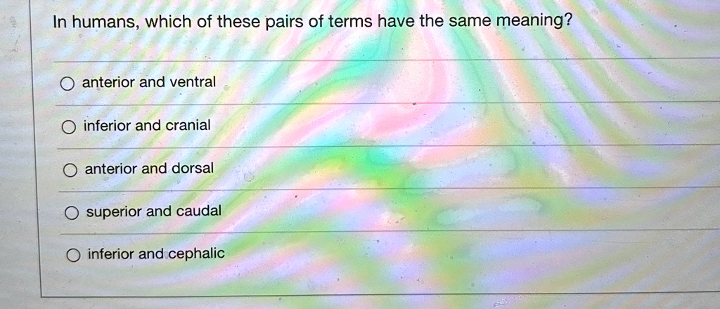 in humans which of these pairs of terms have the same meaning anterior ...