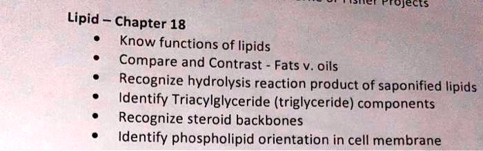 tnojects lipid chapter 18 know functions of lipids compare and contrast fats v oils recognize ...