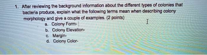 after reviewing the background information about the different types of ...