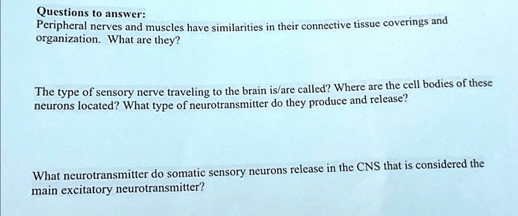 Questions to answer: Peripheral nerves and muscles have...