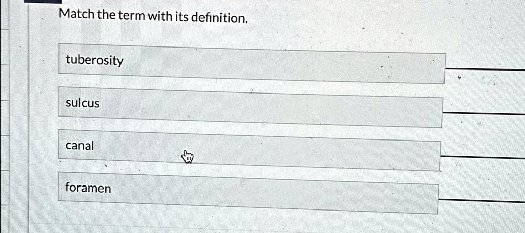 Match the term with its definition. tuberosity sulcus canal foramen ...