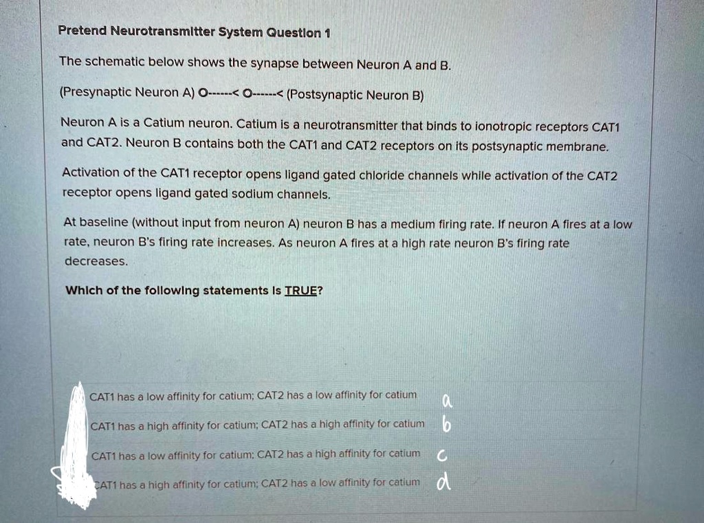 SOLVED: Pretend Neurotransmltter System Questlon The schematic below ...
