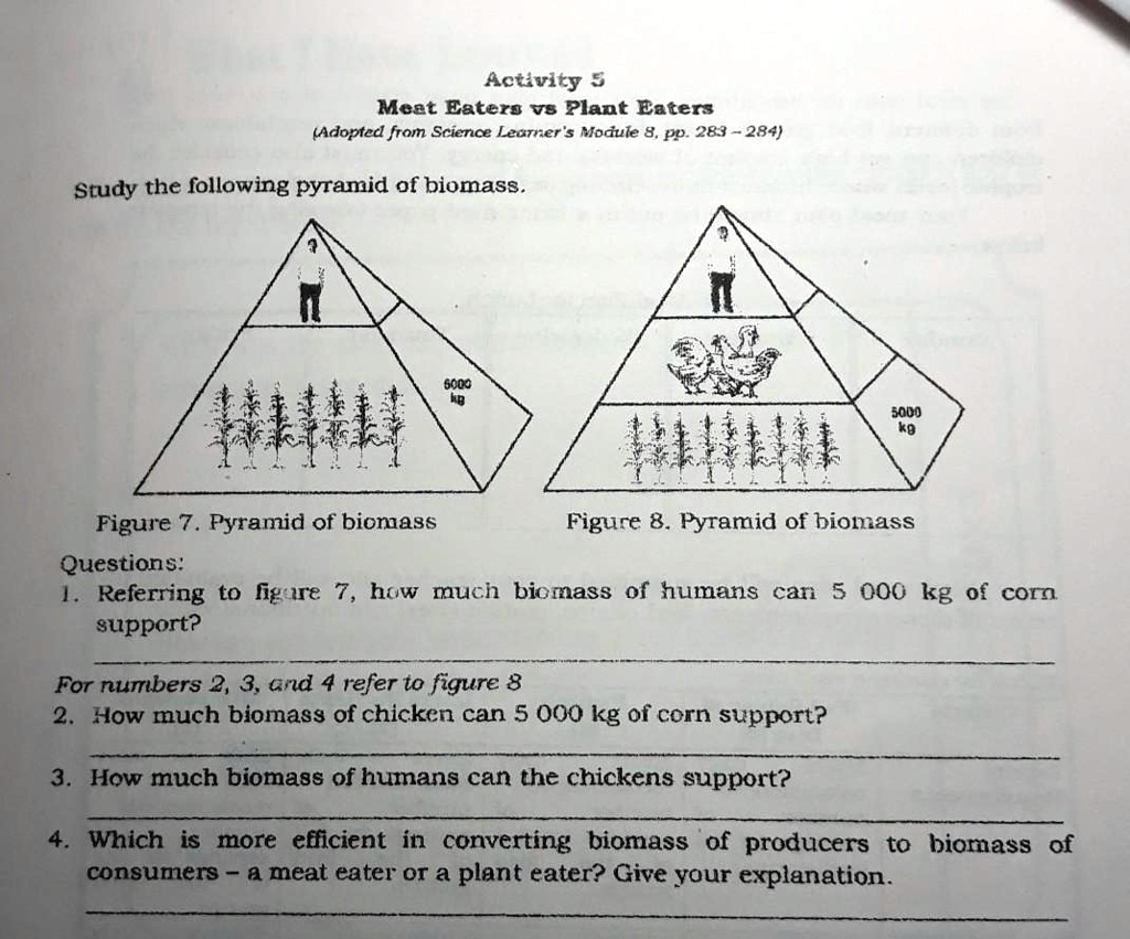 Activity 5 Meat Eaters vs Plant Eaters (Adopted from Science Learner's ...