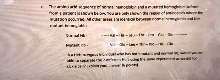 Solved The Amino Acid Sequence Of Normal Hemogiobin And A Mutated Hemoglobin Isoform From A