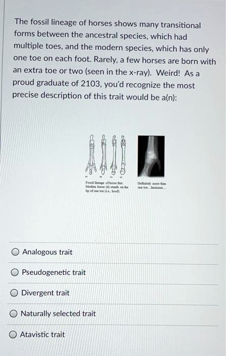 the fossil lineage of horses shows many transitional forms between the ...