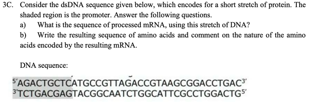 3c consider the dsdna sequence given below which encodes for a short stretch of protein the ...