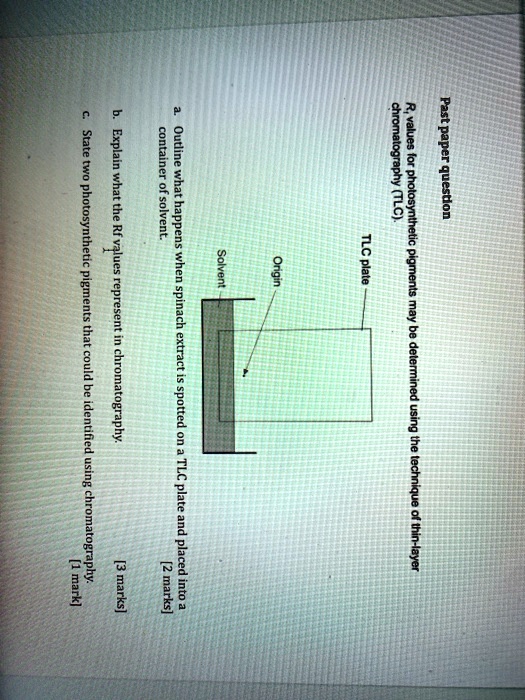 SOLVED: Stainwit aliphatic values chromatography (TLC) for ...