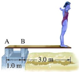 SOLVED: Calculate the forces that the supports A and B exert on the ...