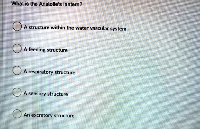 What is the Aristotle's lantern? A structure within the water vascular ...