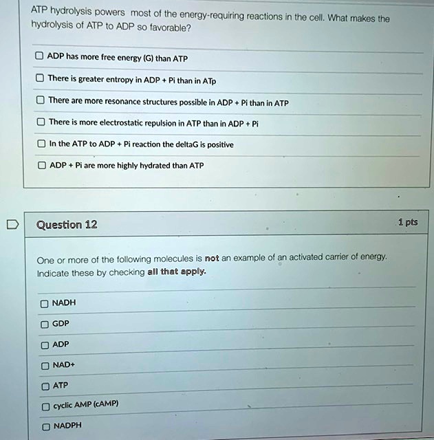 SOLVED: ATP hydrolysis powers most of the energy-requiring reactions in the cell; Wnat makes Ihe ...