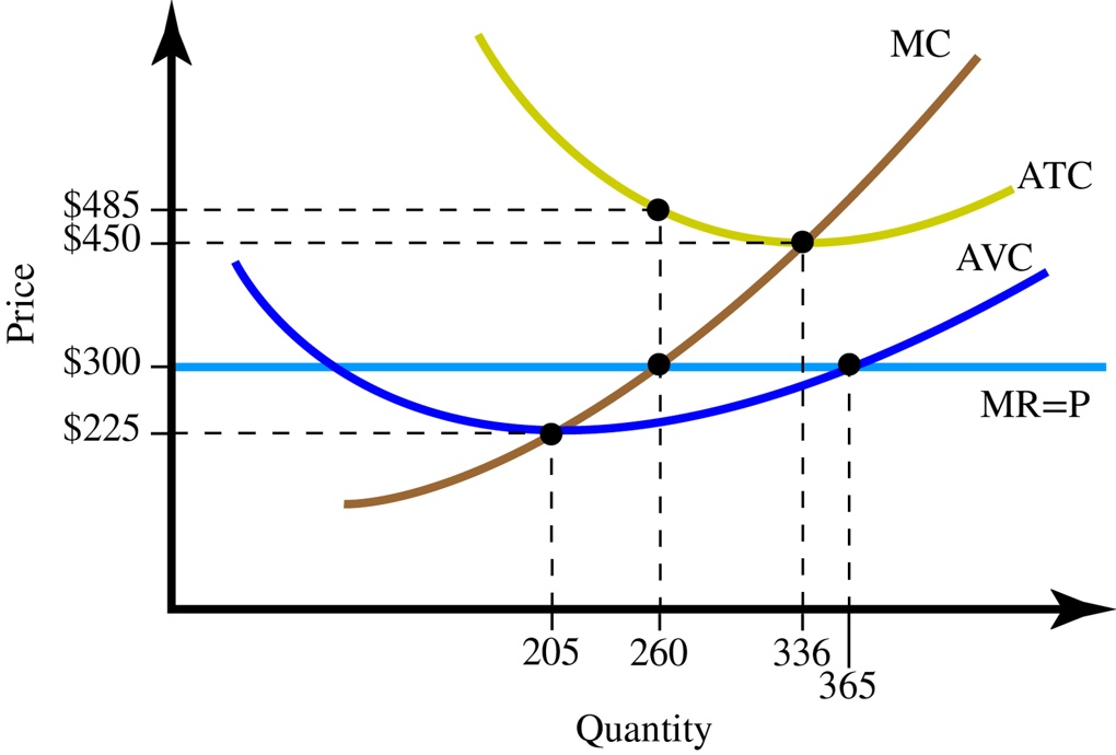 Price 485450 300225 205 260 336 365 Quantity MC ATC AVC MR=P
