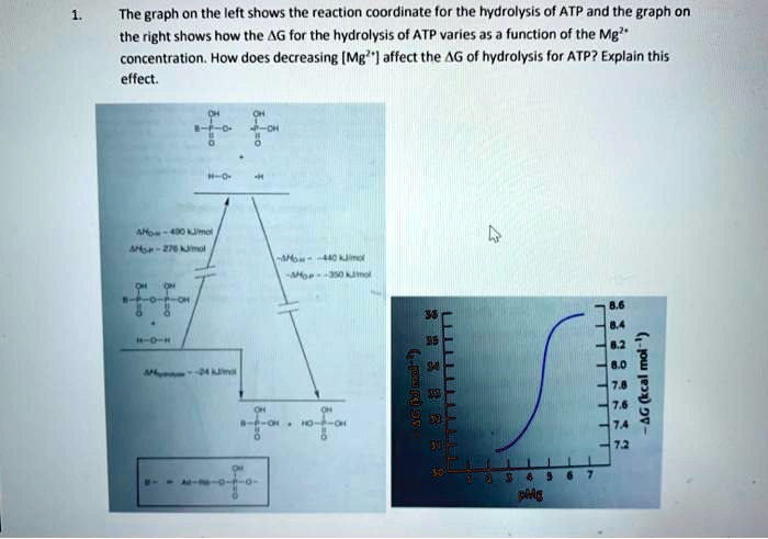 SOLVED: The graph on the left shows the reaction coordinate for the ...