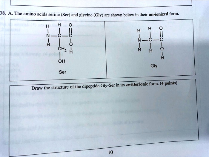 SOLVED:38. The amino acids serine (Ser) and glycine (Gly) are shown ...