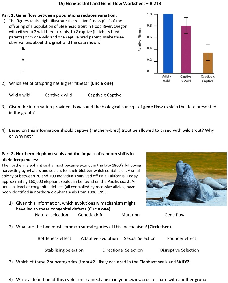 SOLVED: 15) Genetic Drift and Gene Flow Worksheet - BI213 Part 1. Gene ...