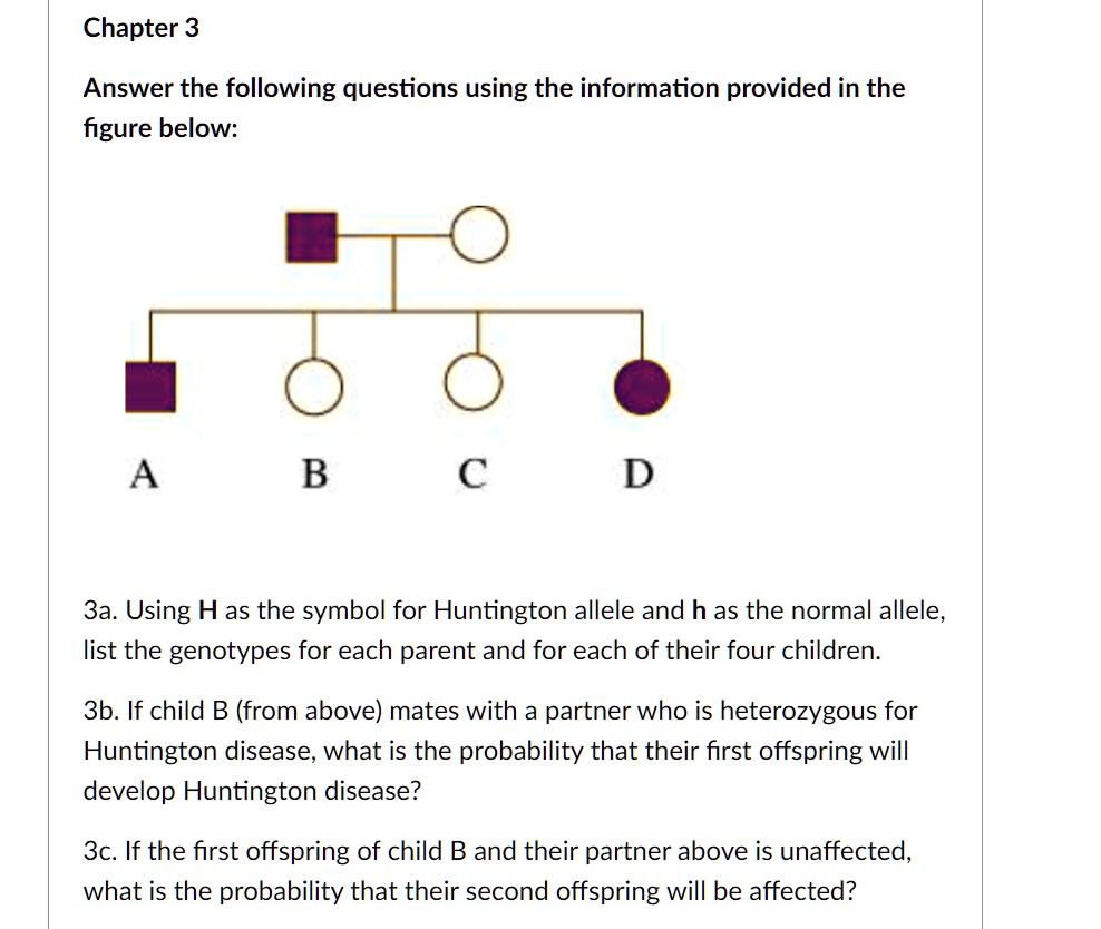 Chapter 3 Answer the following questions using the information provided ...