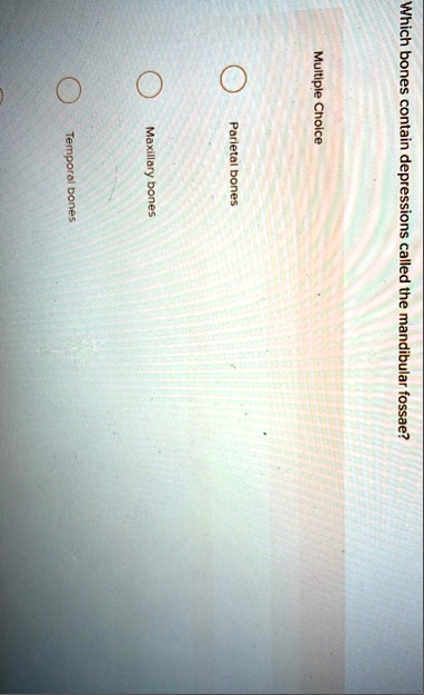 which bones contain depressions called the mandibular fossae multiple choice parietal bones ...