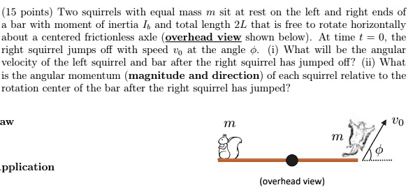 SOLVED:(15 points) Two squirrels with equal mass m sit at rest on the ...