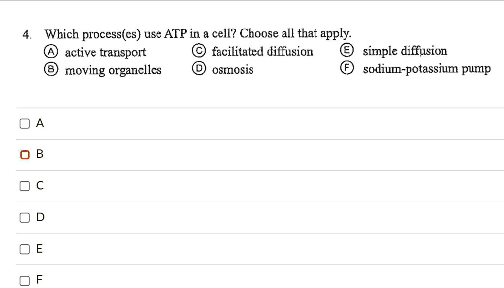 SOLVED: 'All of the following processes require the cell to use ATP? 4 Which process(es) use ATP ...