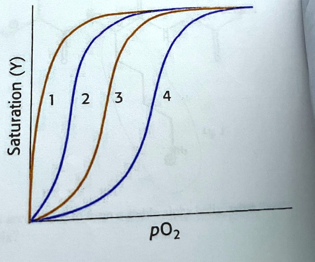 Saturation (Y) 1 2 3 4 PO?