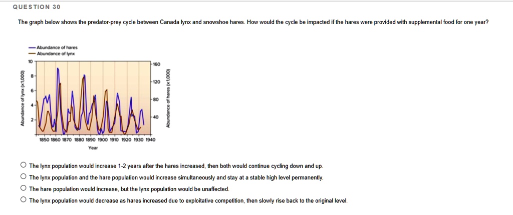 question 30 the graph below shows the predator prey cycle between ...