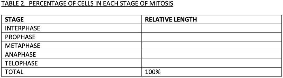 What numbers go here? TABLE 2: PERCENTAGE OF CELLS IN EACH STAGE OF ...