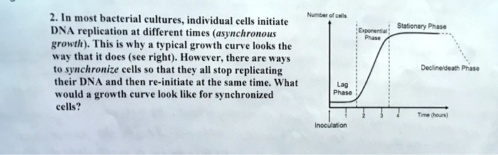 SOLVED: Nunber ol cells zIn most bacterial cultures, individual cells ...