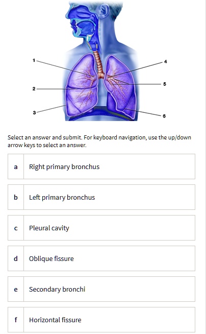 SOLVED: List Each Select an answer and submit. For keyboard navigation ...