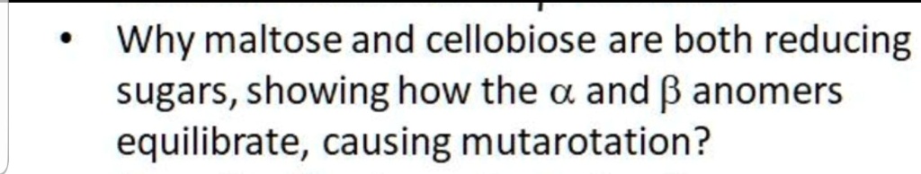 SOLVED: Why maltose and cellobiose are both reducing sugars, showing ...
