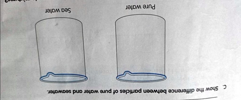 SOLVED: 'show the difference between particles of pure water and ...