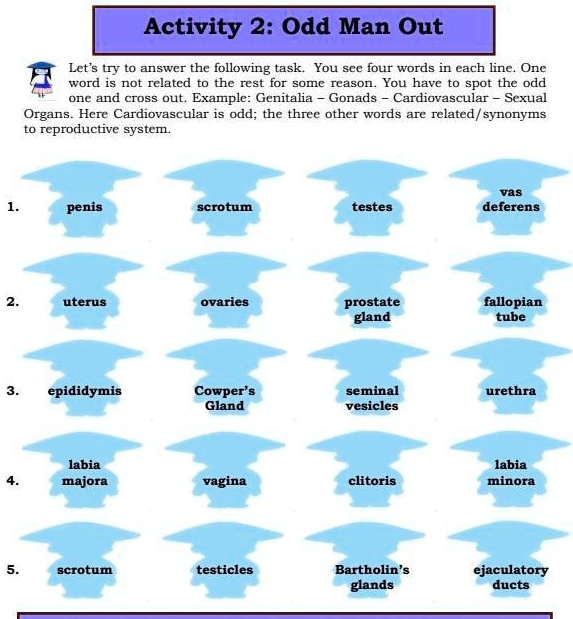 SOLVED: Activity 2: Odd Man Out Let's try to answer the following task ...