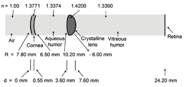 n = 1.00 1.3771 1.3374 1.4200 1.3360 Air Aqueous Crystalline Vitreous ...