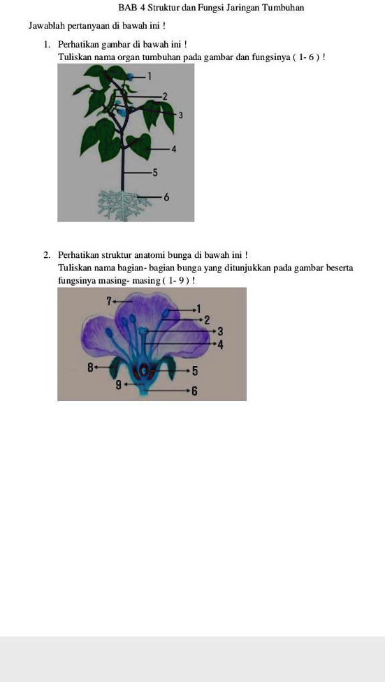 SOLVED: tolong dong kak, hari Jumat dah dikumpulin BAB Struklur dan ... SOLVED: tolong dong kak, hari Jumat dah dikumpulin BAB Struklur dan ...