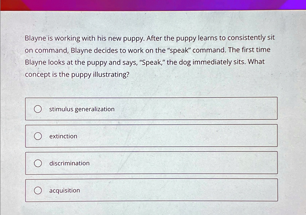 Blayne is working with his new puppy. After the puppy learns to ...
