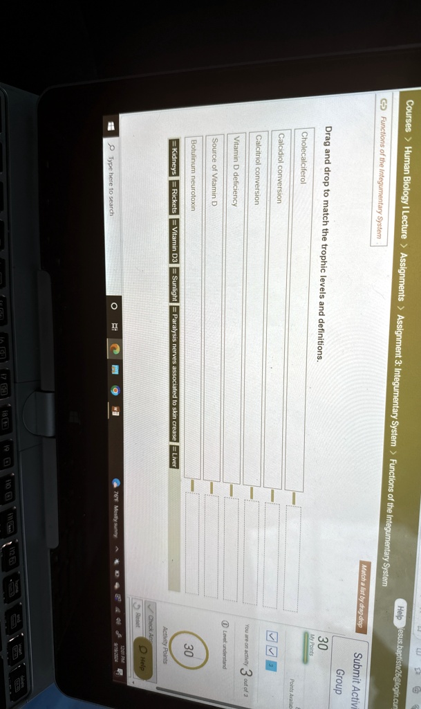 Courses > Human Biology I Lecture > Assignments > Assignment 3: Integumentary System > Functions ...