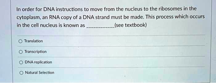 In order for DNA instructions to move from the nucleus to the ribosomes ...