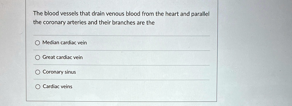 The blood vessels that drain venous blood from the heart and parallel ...
