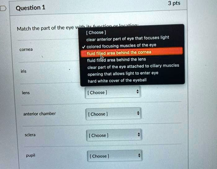 3 pts question 1 match the part of the eye choose clear...