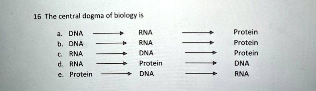 16 The central dogma of biology is a. DNA ? RNA ? Protein b. DNA ? RNA ...