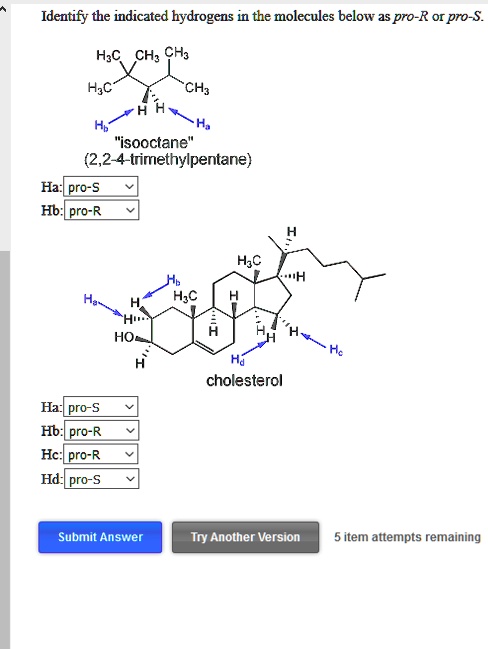 Identify the indicated hydrogens in the molecules below as pro-R or pro-S. H3C CH3 CH3 H3C CH3 ...