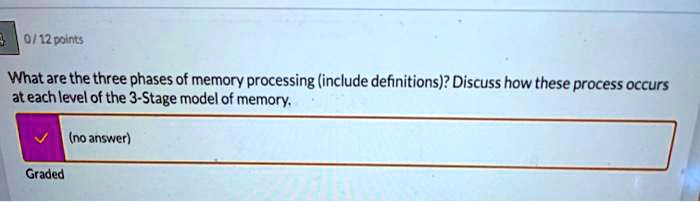 What are the three phases of memory processing (include definitions ...