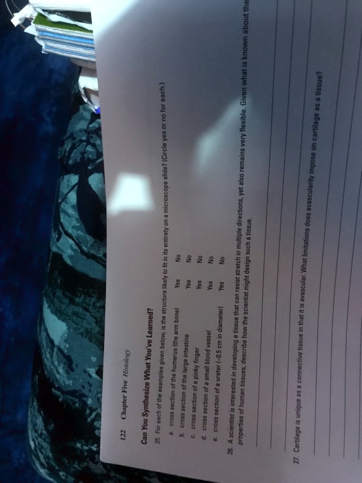 SOLVED: Chapter Five Histology: Can You Synthesize What You've Learned ...